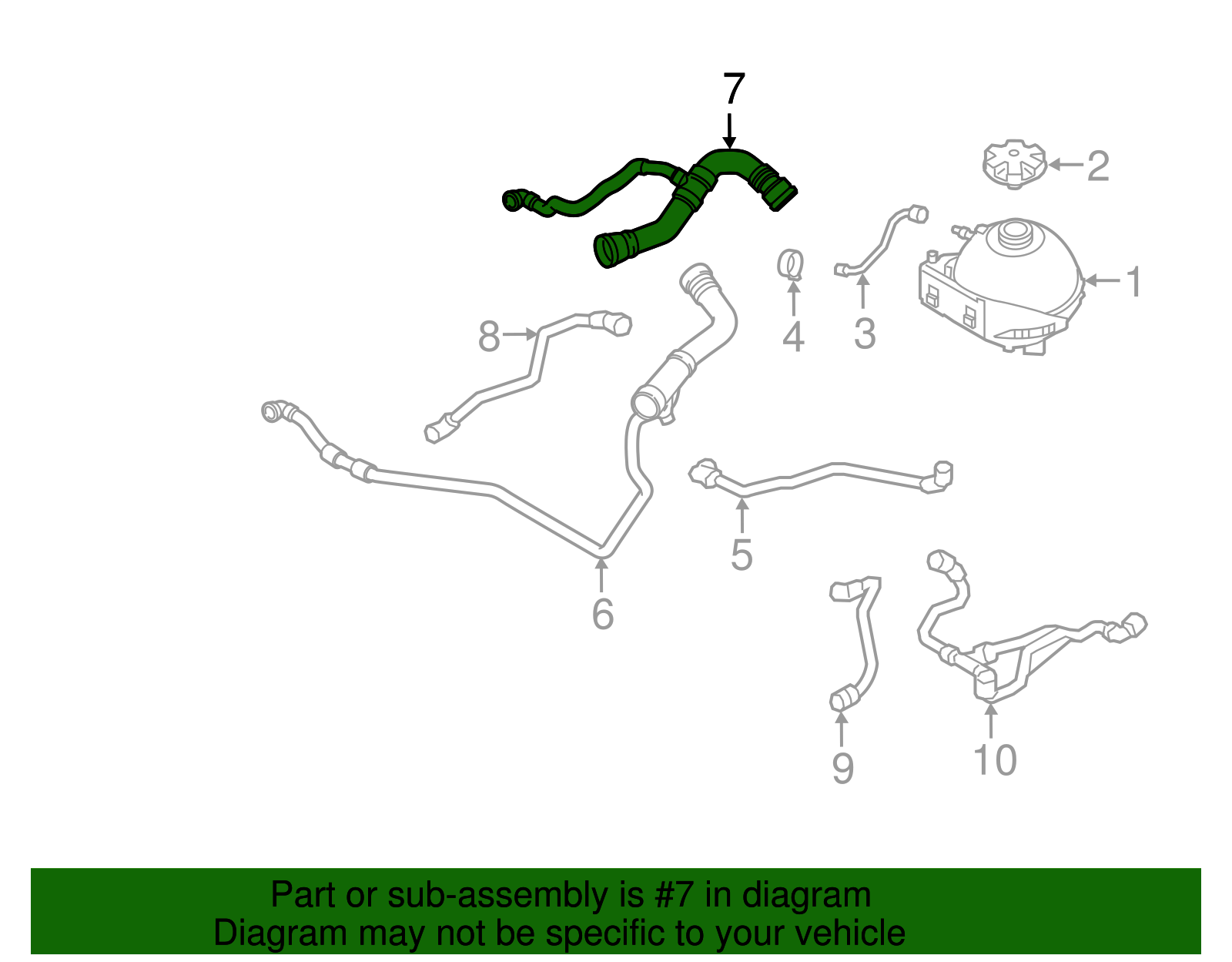 17-12-7-619-256 - Lower Hose 2012-2018 BMW | BMW Mini Parts Depot