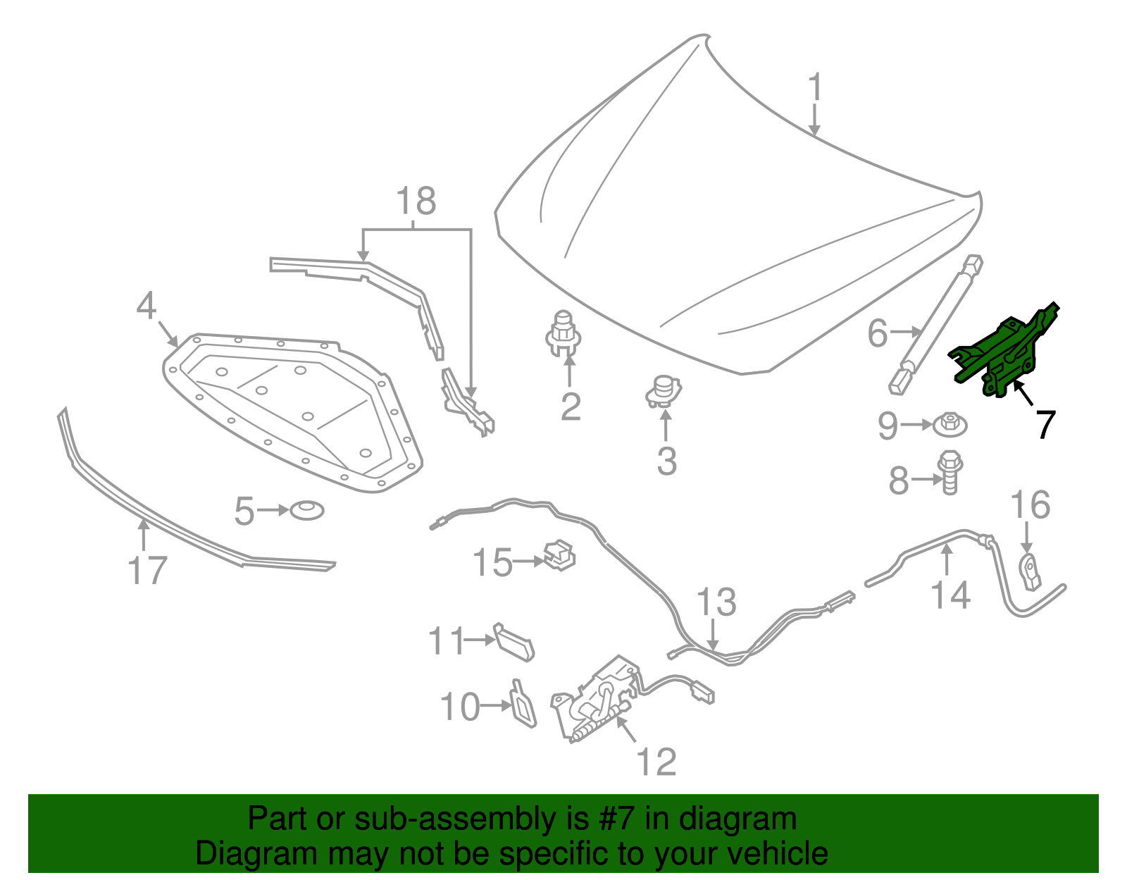 2012-2021 BMW Hood Hinge 41617286343 | OEM Parts Online