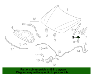 7146959644 - 2013-2023 BMW Hinge Nut (07-14-6-959-644) | BMW of South ...
