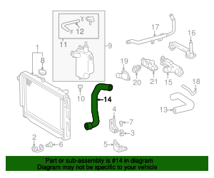 16572-50150 - Lower Hose - 1998-2007 Lexus LX470 | DiscMonster