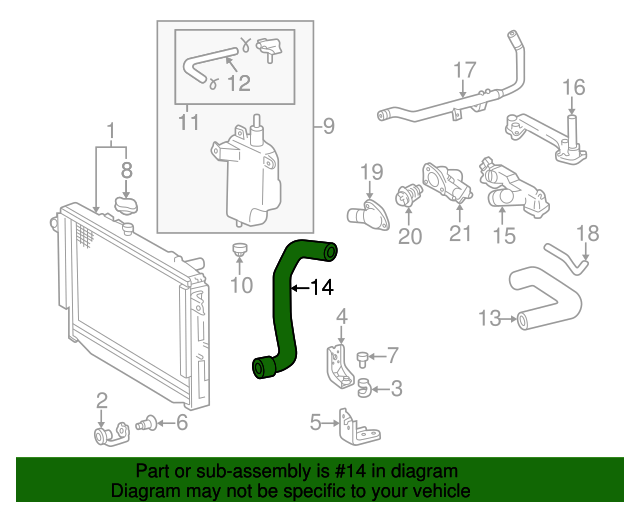 16572-50150 - Lower Hose - 1998-2007 Lexus LX470 | DiscMonster