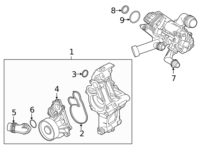 11-51-8-482-260 - Cooling Pipe O-Ring 2019-2023 BMW | AutoNationParts.com