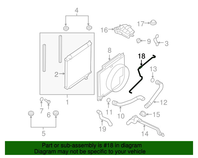 2008-2010 Ford Overflow Hose 8C3Z-8075-D | QuirkParts