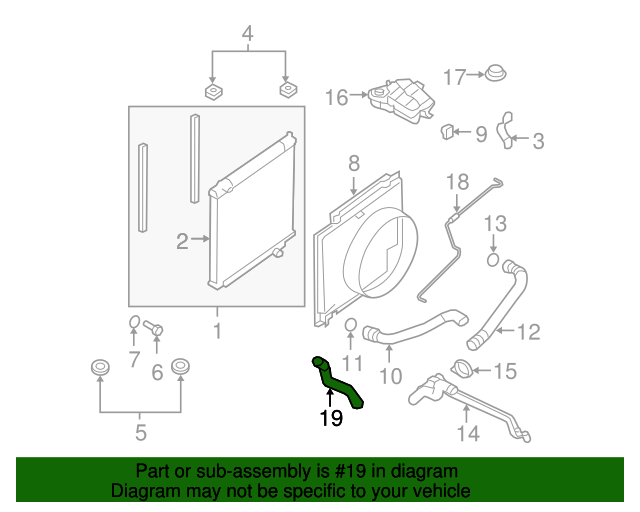 Genuine OEM Ford Part - Reservoir Hose 8C3Z-8075-F | Genuine OEM Ford ...