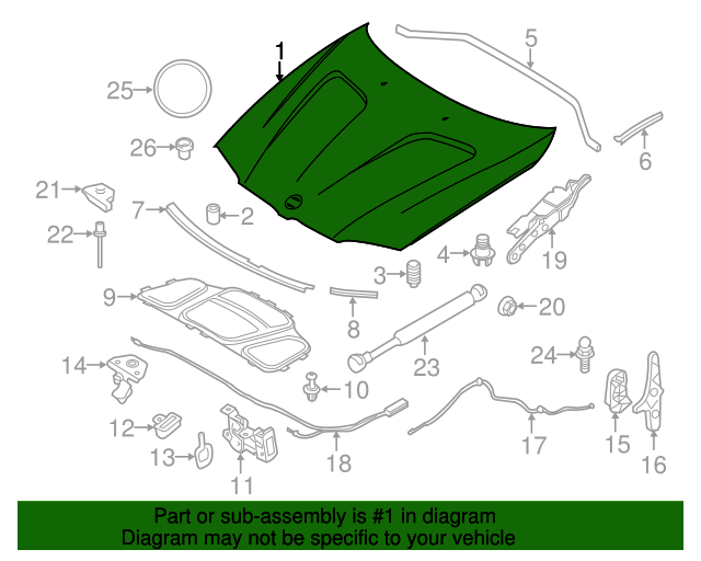 Genuine BMW 41-61-7-267-337 | Hood | FREE Shipping on Most Orders $499 ...