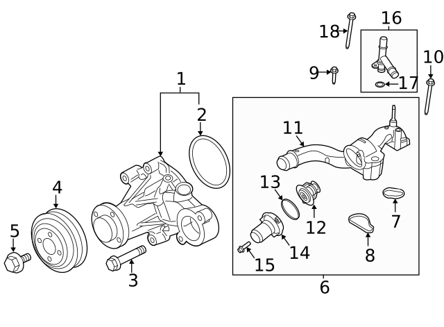 2021-2023 Ford F-150 Water Pump ML3Z-8501-C | QuirkParts