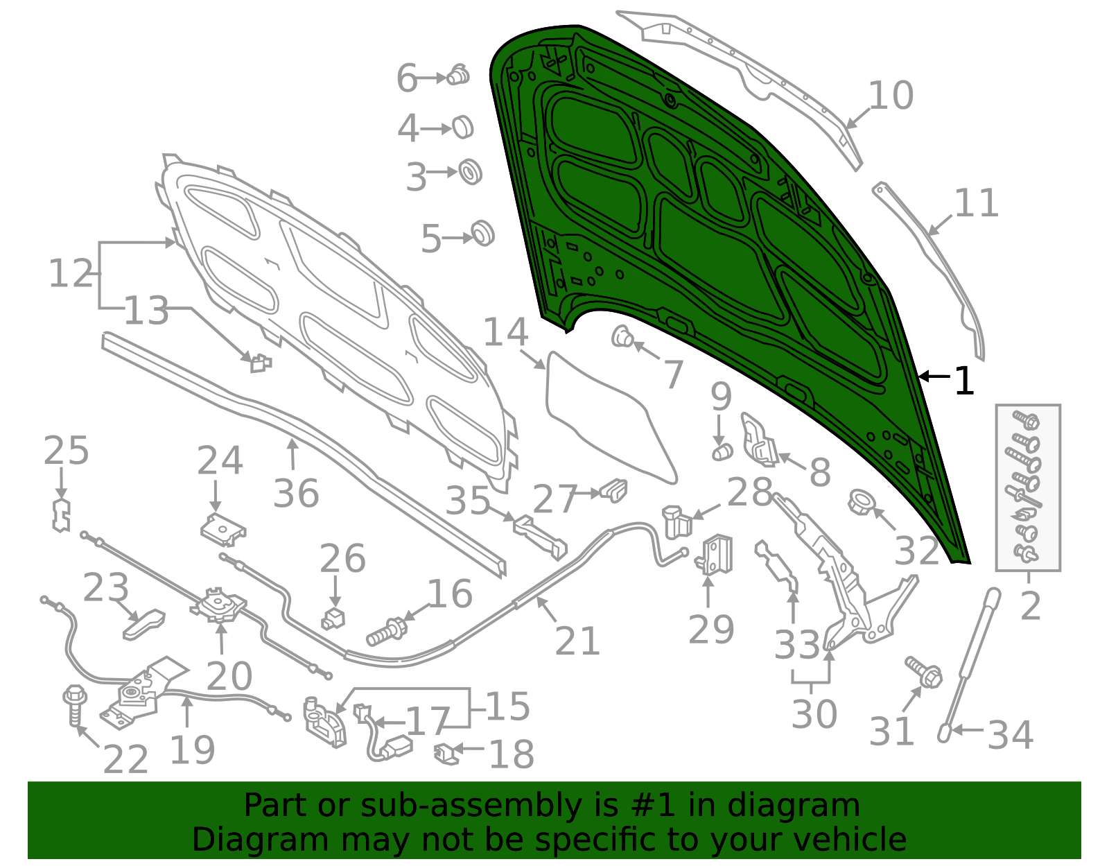 2018-2024 Audi Hood 8W6-823-029 | Audi OEM Parts Guy