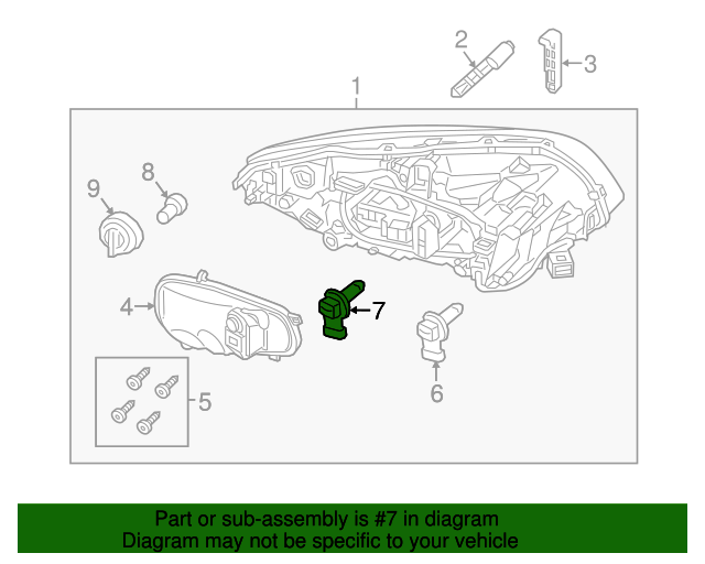 989838 - Bulb H11 - 2003-2019 Volvo | Volvo OEM Parts Direct