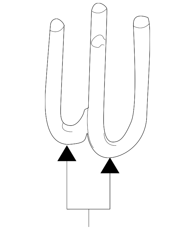 1999-2004 Ford U-Bolt F81Z*5705*C | TascaParts.com