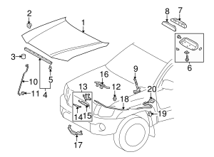 53301-04150 - Hood - 2005-2011 Toyota Tacoma | OEM Genuine Toyota Parts
