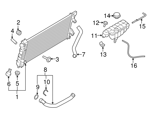 2015-2020 Ford F-150 Lower Hose FL3Z-8286-B | QuirkParts