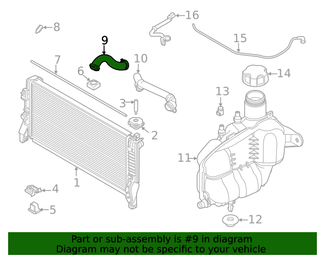 17128658482 - 2019-2022 BMW Upper Hose (17-12-8-658-482) | BMW of South ...