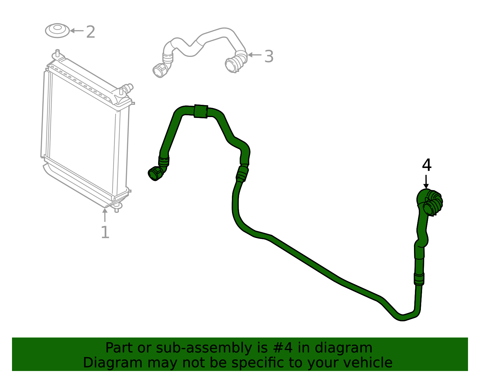 17-12-5-A02-2E9 - 2019-2024 BMW - Lower Hose | Buy BMW Parts Now