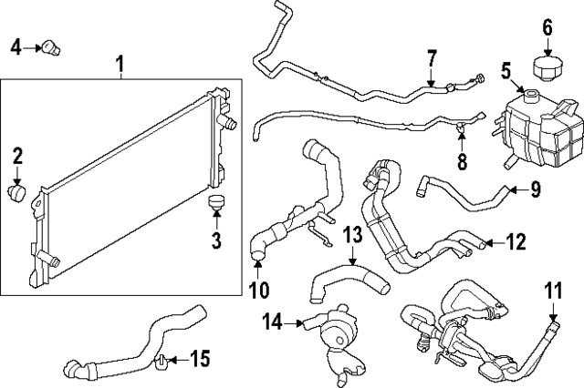 MB3Z-8075-F - Overflow Hose 2024 Ford Ranger | AwesomeParts.com