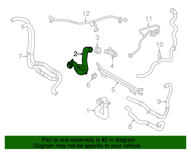 80A-122-055-AH - Lower Hose 2018-2022 Audi | Audi OEM Parts