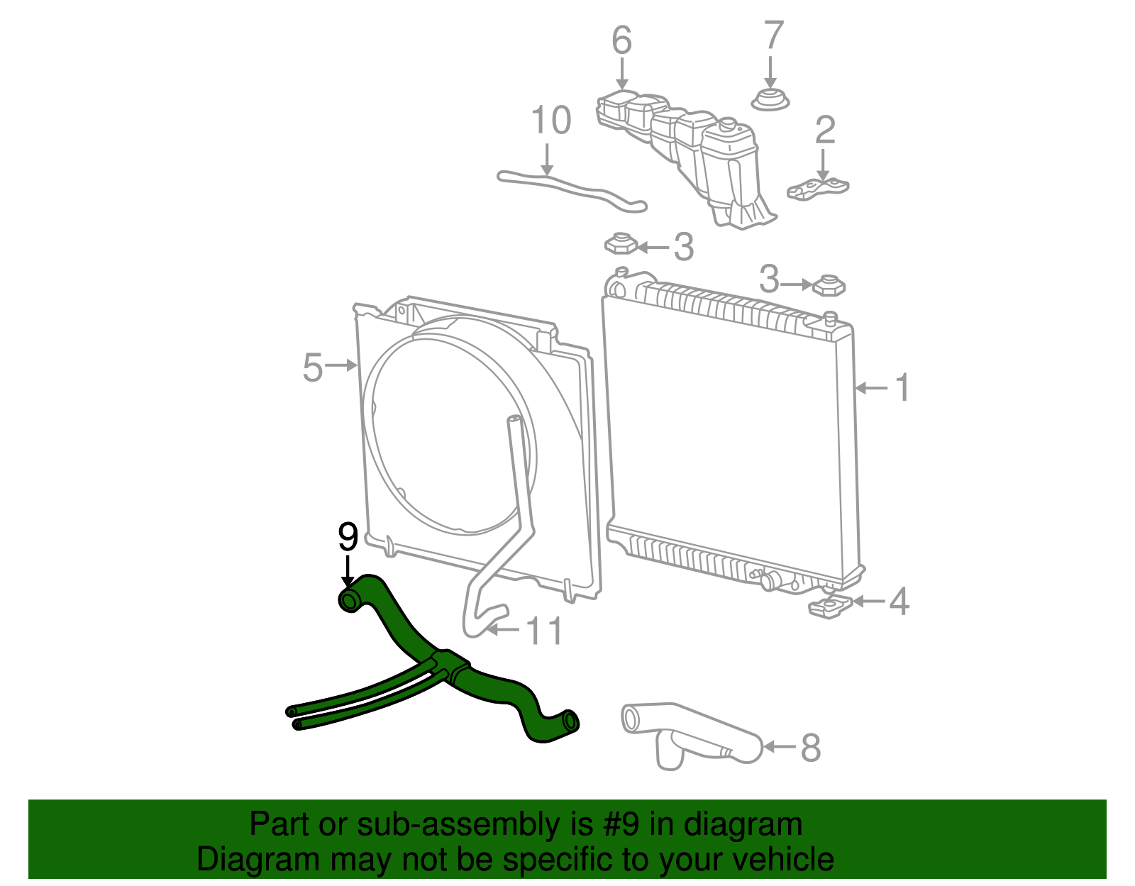 2001-2003 Ford 2001-2003 Ford - Lower Hose 1C3Z-8286-CA | My Ford Part
