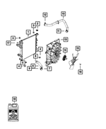 Radiator Hoses | Mopar Parts