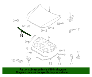 2009-2011 Hyundai Genesis Hood Molding 86355-3M500 | AutoNationParts.com