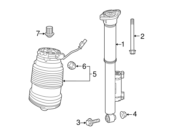 213-320-32-01 - Shock Absorber 2017-2018 Mercedes-Benz E 43 AMG ...