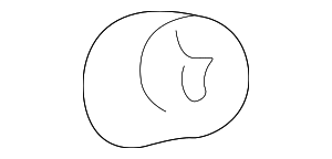 1992-2009 GM Multi-Purpose Clip 16643104 GM | GMPartsDirect.com