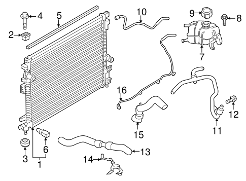 Radiator & Components for 2016 Lincoln MKX | QuirkParts