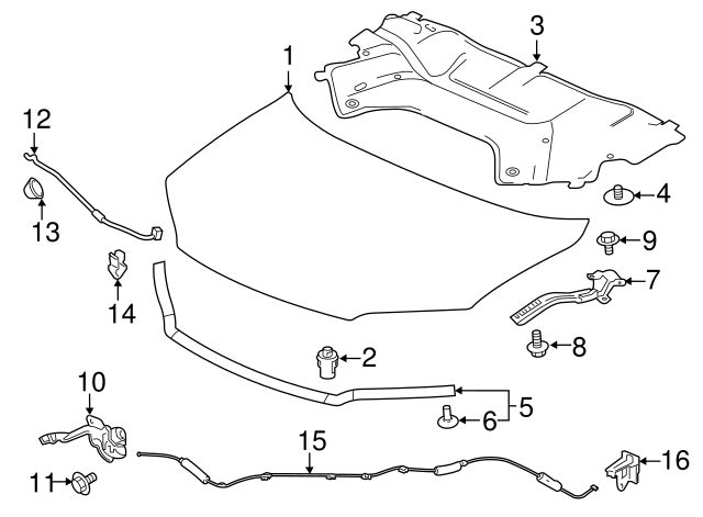 60100-T6Z-A00ZZ - Hood 2021-2023 Honda | Honda Parts Online