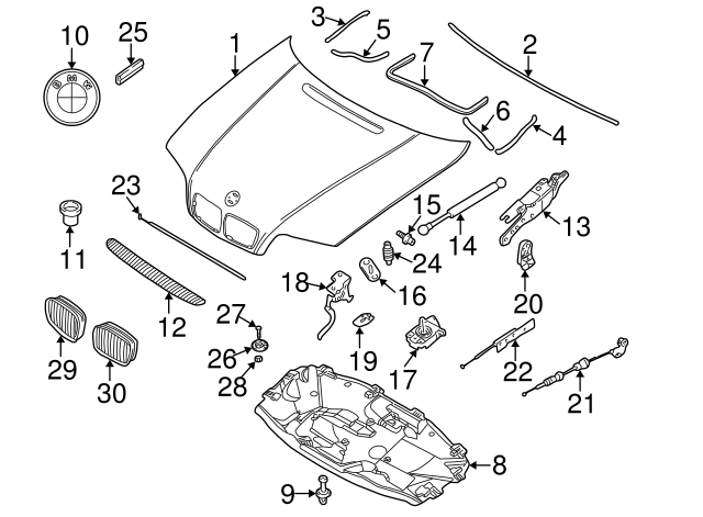 1999-2006 BMW Hood Seal 51-71-8-215-919 | BMWPartsDirect.com