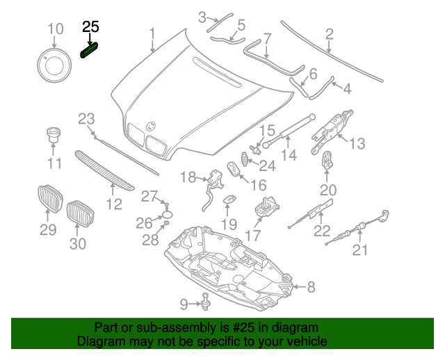 51238247699 - 1999-2013 BMW Hood Bumper (51-23-8-247-699) | BMW of ...