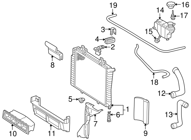 1998-2004 Mercedes-Benz Lower Hose 202-501-50-82-64 | MB OEM Parts