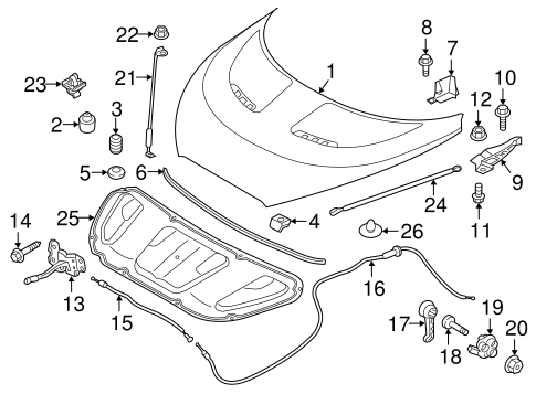 Hood & Components for 2017 Hyundai Veloster | OEM Hyundai Parts Outlet