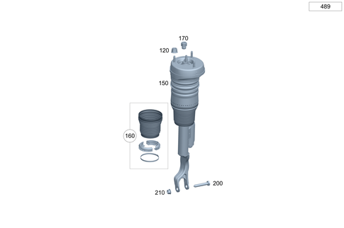 Front Suspension Strut and Suspension Strut Mount for 2024 Mercedes ...