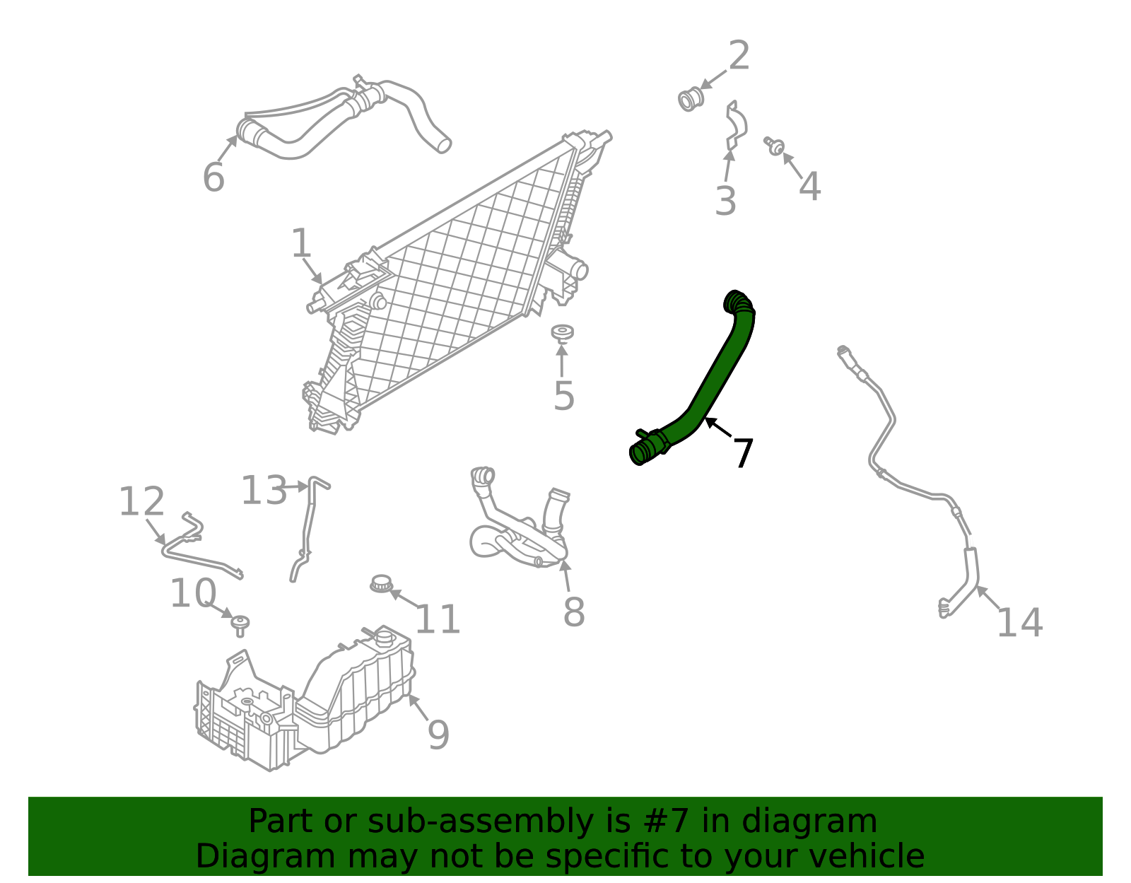 2017-2024 Ford Lower Hose HC3Z-8286-D | OEM Parts Online