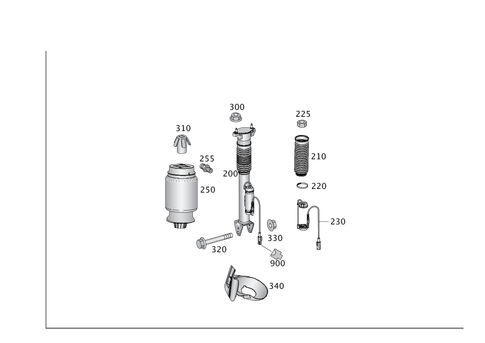 Rear Suspension Strut and Suspension Strut Mount for 2017 Mercedes-Benz ...