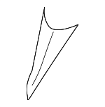 OEM TOYOTA Truck Parts | Shop Replacement Parts Online | LaGrange Toyota