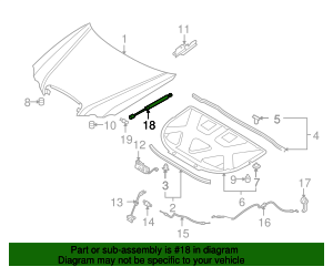 2004-2006 Kia Amanti Lift Cylinder - Driver's Side (LH) 81161-3F001 ...