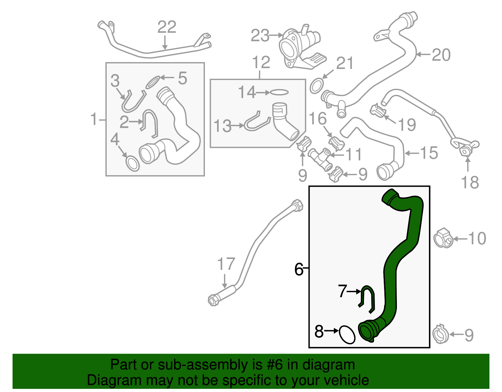8R0-121-055-D - Lower Hose 2011-2017 Audi Q5 | Audi OEM Parts