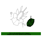 2011-2016 Ford Fan Clutch BC3Z-8A616-D | OEM Parts Online