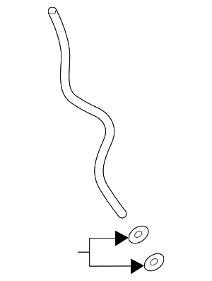 26612-2T000 - Dipstick 2022-2023 Kia Stinger | Kia.Parts Store