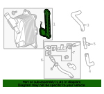 2019-2025 GM Engine Oil Cooler Seal 55488933 GM | GMPartsDirect.com