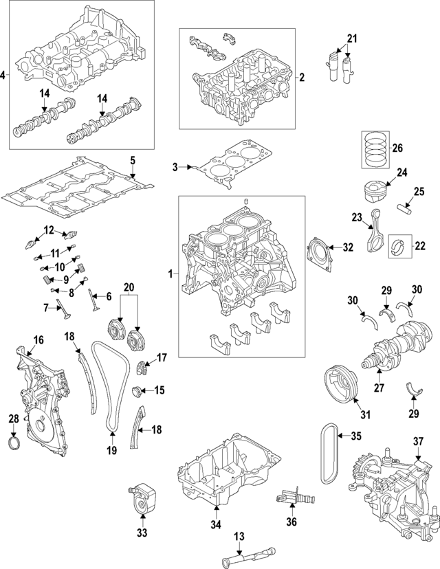 JX6Z-6268-C - Timing Chain 2020-2024 Ford | AutoNation Parts