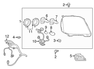 2010-2024 GM Multi-Purpose Light Bulb 13579188 GM | GMPartsDirect.com