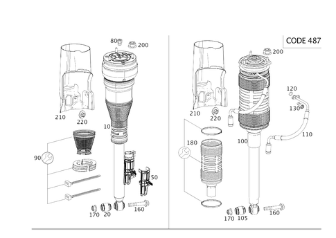 Spring Strut and Spring Strut Mounting Rear for 2020 Mercedes-Benz S ...