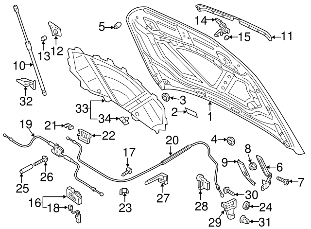 2015-2018 Audi Protector 8U0-823-126-B-9B9 | Audi USA Parts