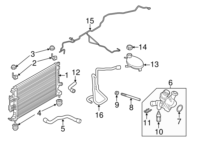 2017-2019 Ford Escape Overflow Hose GV6Z-8B081-G | Blue Springs Ford