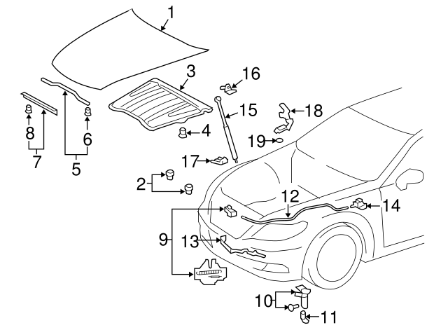 2013-2017 Lexus Safety Catch 53550-50050 | OEM Parts Online