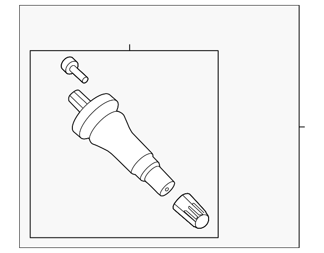 2021-2025 Ford Motorcraft™ Tire Pressure Monitoring System (TPMS ...