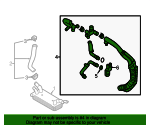 2015-2016 Hyundai Genesis Hose Assembly 25420-B1600 | OEM Parts Online