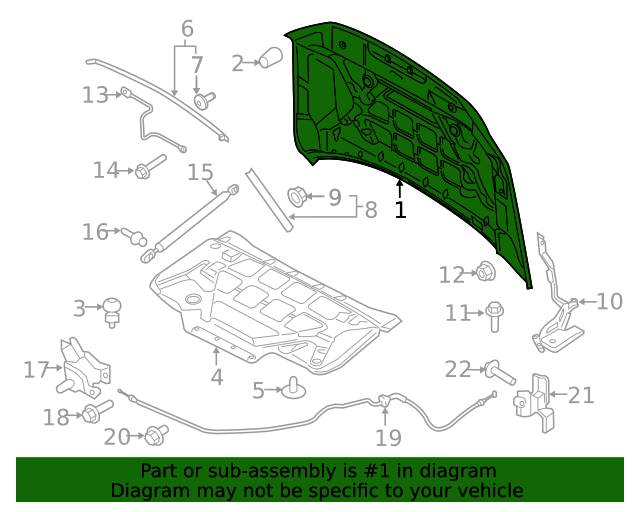 ML3Z-16612-C - Hood 2021-2023 Ford F-150 | Ford Parts Direct