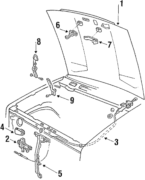 Hood & Components for 1985 Ford Bronco | Blue Springs Ford