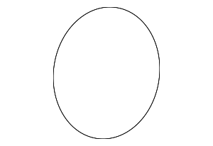 PAF-007-648 - 1997-2024 Porsche - Lower Control Arm Adjust Cam ...